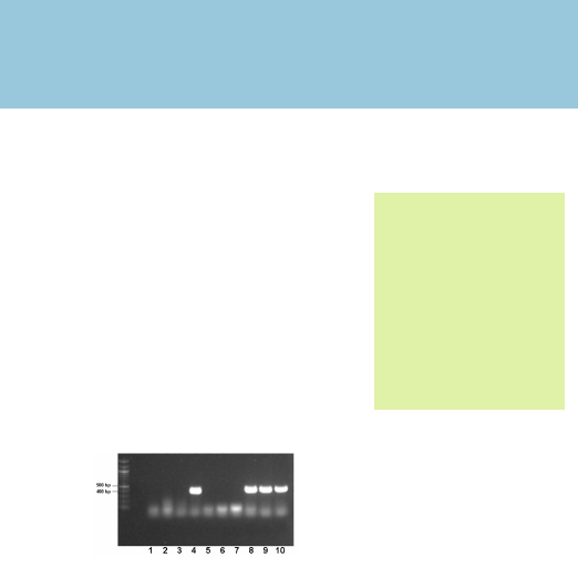 VWR Catalog Preview
