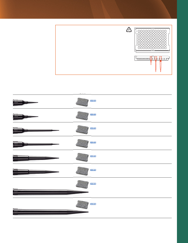 VWR Catalog Preview